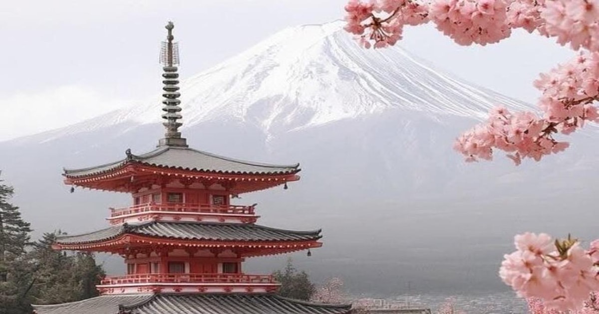 From Tokyo: Mount Fuji Private Tour with English Guide | GetYourGuide