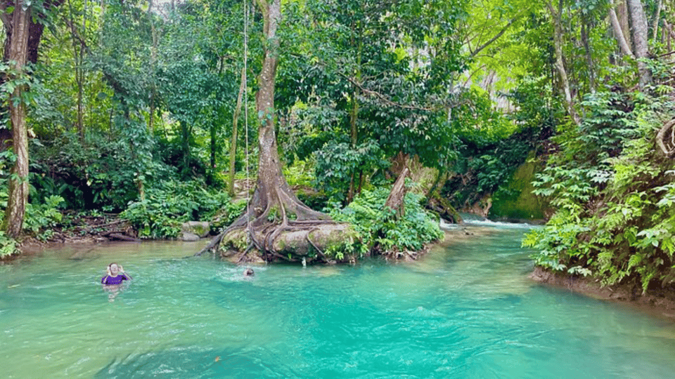 Benta River & Falls privétour vanuit Montego Bay / Negril | GetYourGuide