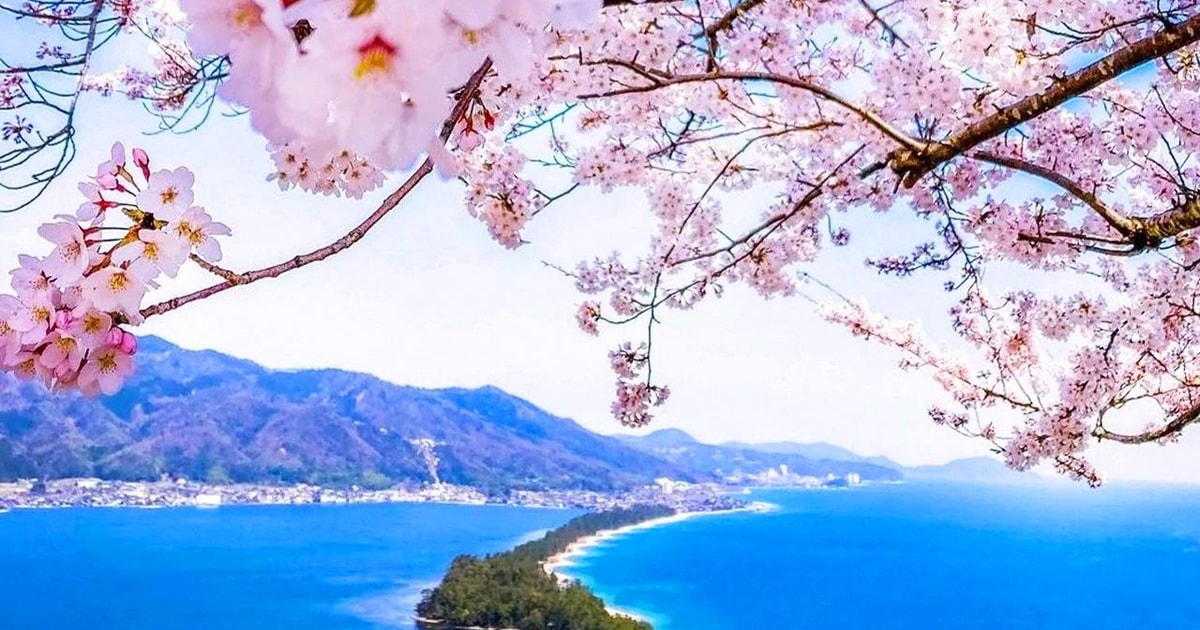 Kyoto/Osaka: Dagtrip Kyoto Kust, Amanohashidate & Ine Bay | GetYourGuide