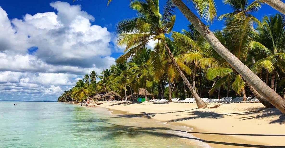 Saona Island: Full-Day Tour with Snorkeling and Lunch | GetYourGuide