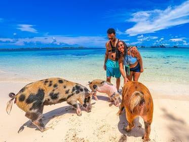 Nassau: Sun Cay and Swimming Pigs Boat Trip with Lunch | GetYourGuide