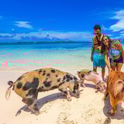 Nassau: Sun Cay and Swimming Pigs Boat Trip with Lunch | GetYourGuide