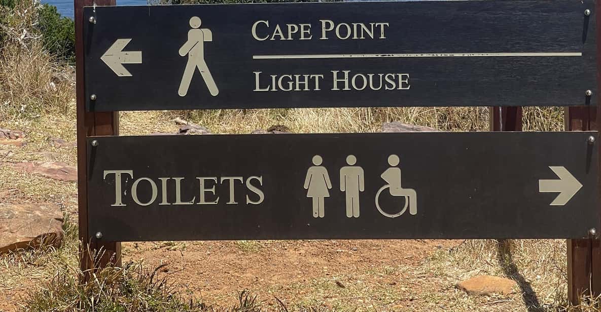 Cape Town: Bordbjerget og Robben Island dagstur | GetYourGuide