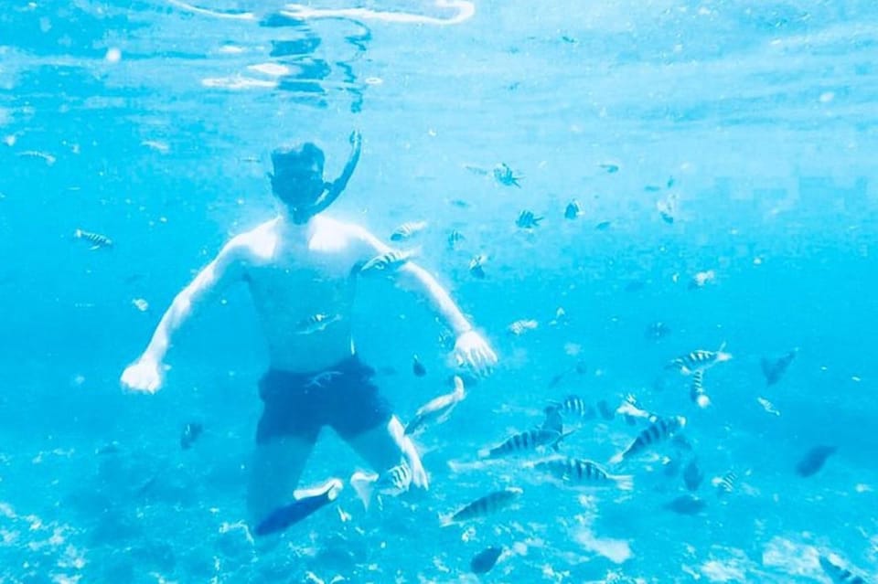 From bali : Blue lagoon Snorkeling , monkey forest,waterfall | GetYourGuide