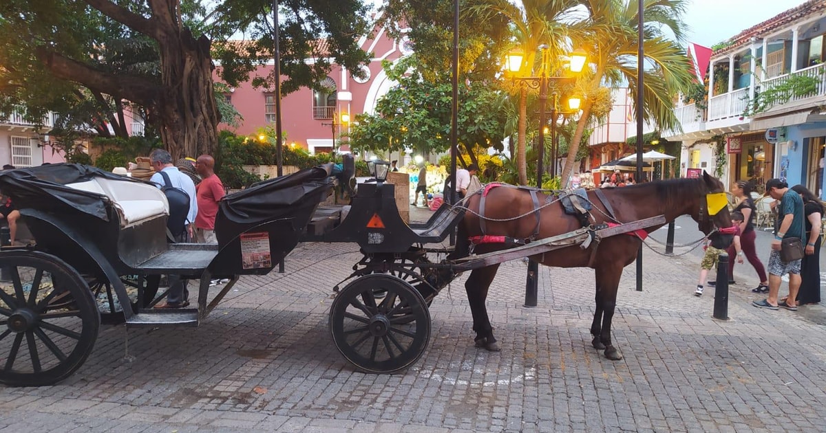 Cartagena: COLLONIAL HORSE DRAWN CARRIAGE by THE OLD CITY | GetYourGuide