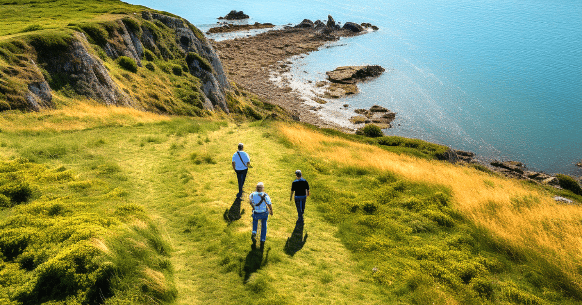 Howth Coastal Walk | GetYourGuide
