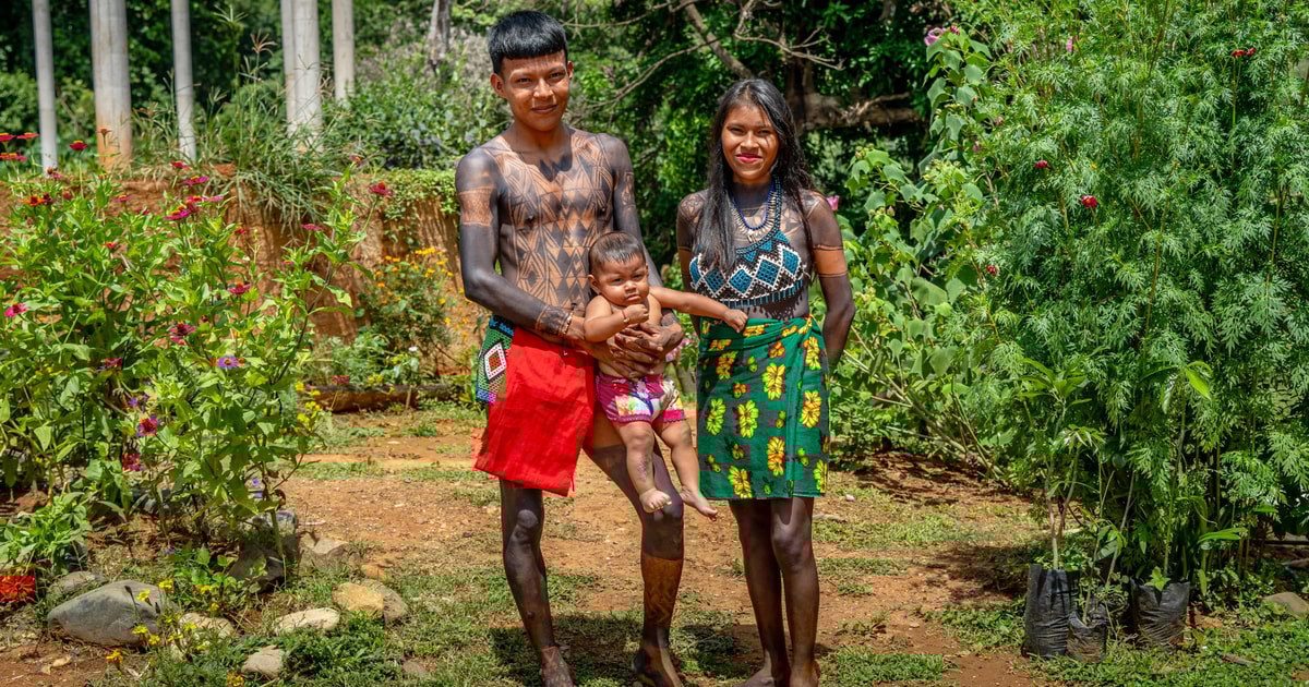 Panama City: Embera Indian Village & Waterfall Tour w/ Lunch | GetYourGuide