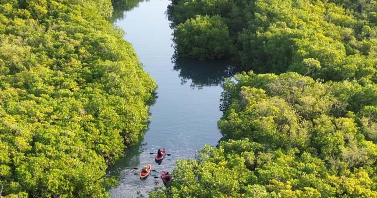 Zanzíbar: Ruinas de Mkokotoni y excursión en kayak por los manglares ...