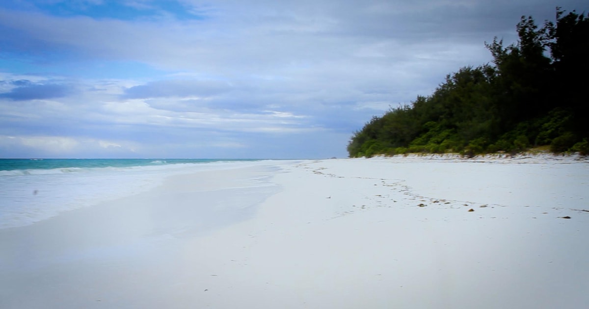 Pemba Island: Guided Hiking Tour | GetYourGuide