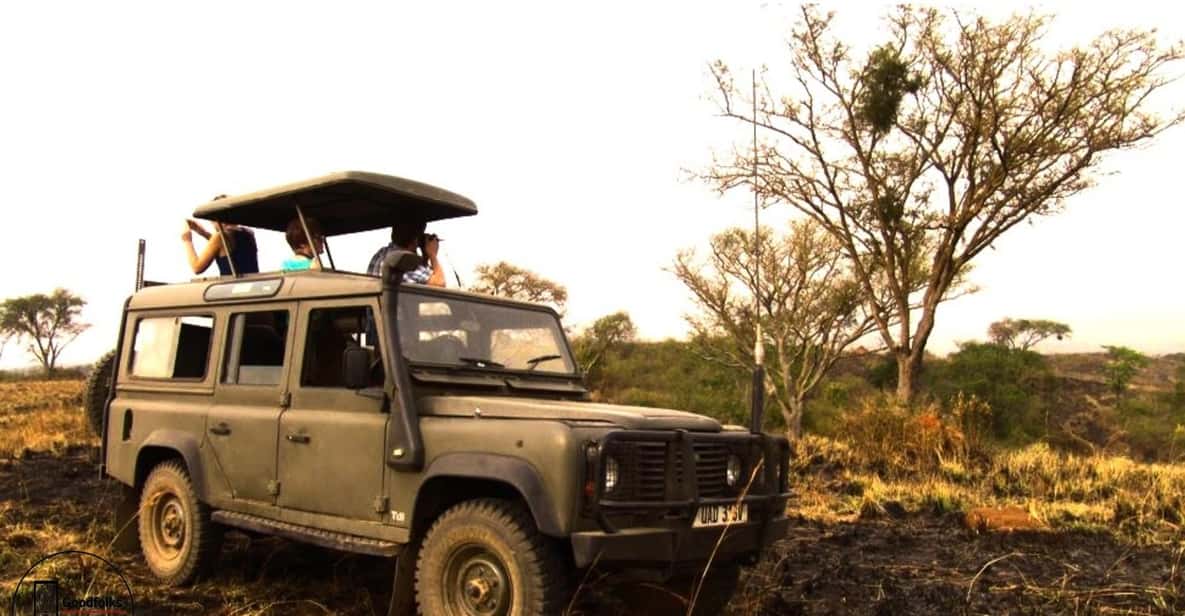 WILD MAVERICK -UGANDA LAND ROVER ESCAPADES | over-lander | GetYourGuide