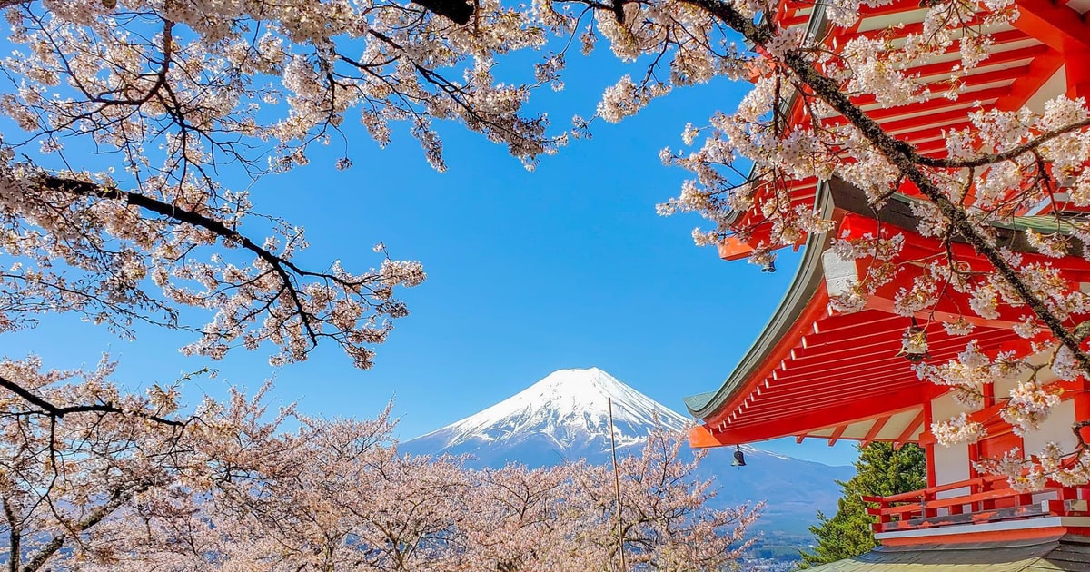Desde Tokio: Excursión Privada de un Día al Monte Fuji y al Lago Kawaguchiko | GetYourGuide