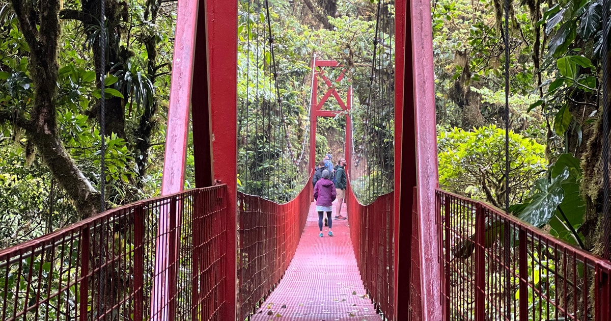 Monteverde : Visite guidée privée de la réserve de la forêt de nuages | GetYourGuide
