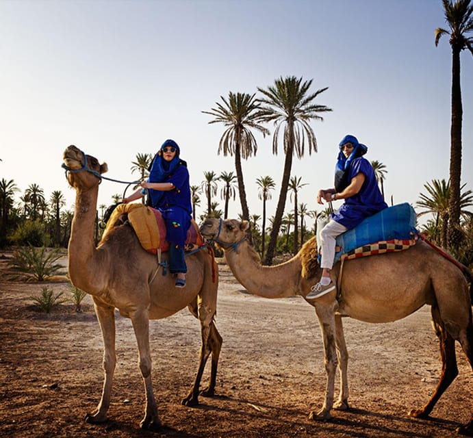 Marrakech Camel Ride in the Oasis Palmeraie and Desert | GetYourGuide