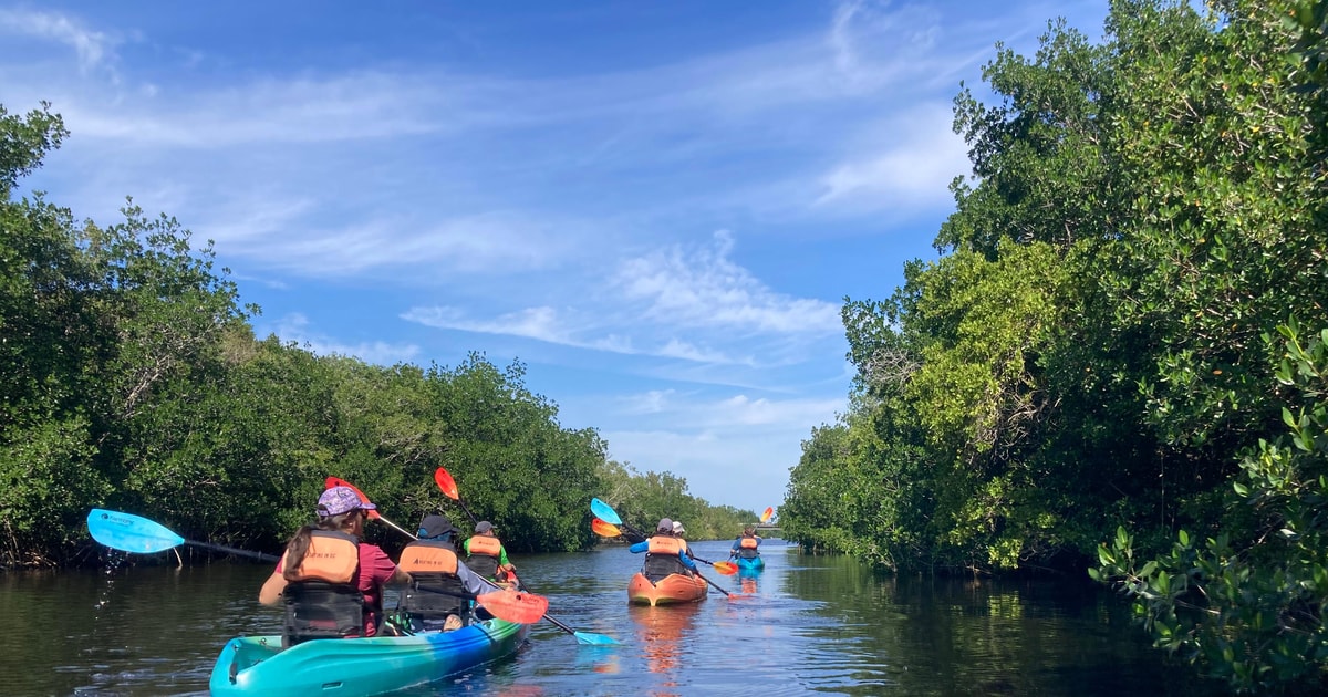 Miami: Everglades National Park Kayaking & Hiking Tour | GetYourGuide
