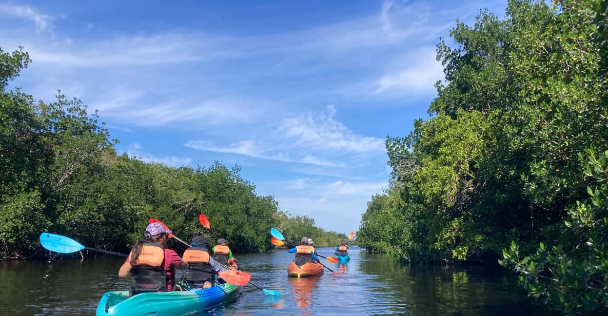 Miami: Everglades National Park Hiking and Kayaking Day Trip | GetYourGuide