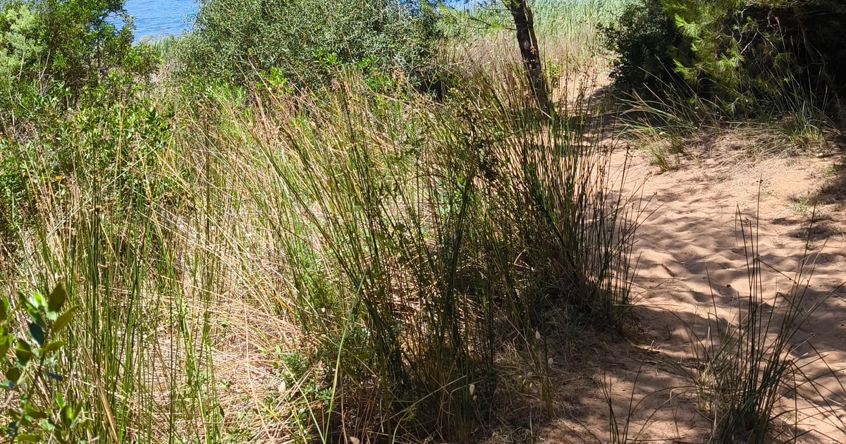 Lago di Baratz: Immerse yourself in Nature and find Peace | GetYourGuide