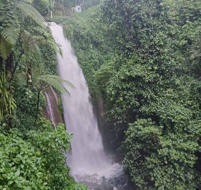 6 Top Activities in Bogor (2025) with Reviews