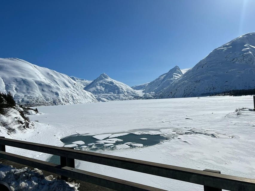 From Anchorage: Alaska Wildlife Center & Turnagain Arm Tour | GetYourGuide