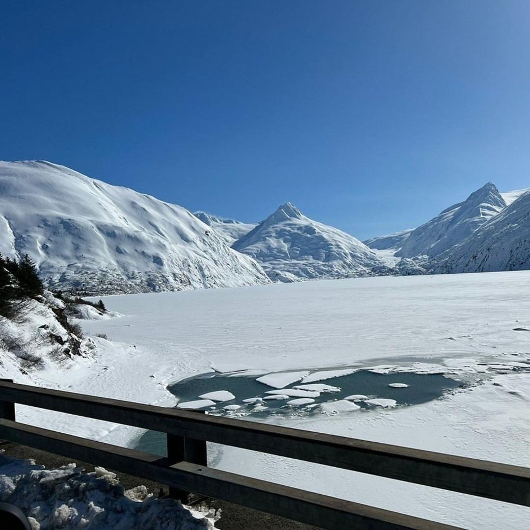 From Anchorage: Alaska Wildlife Center & Turnagain Arm Tour | GetYourGuide