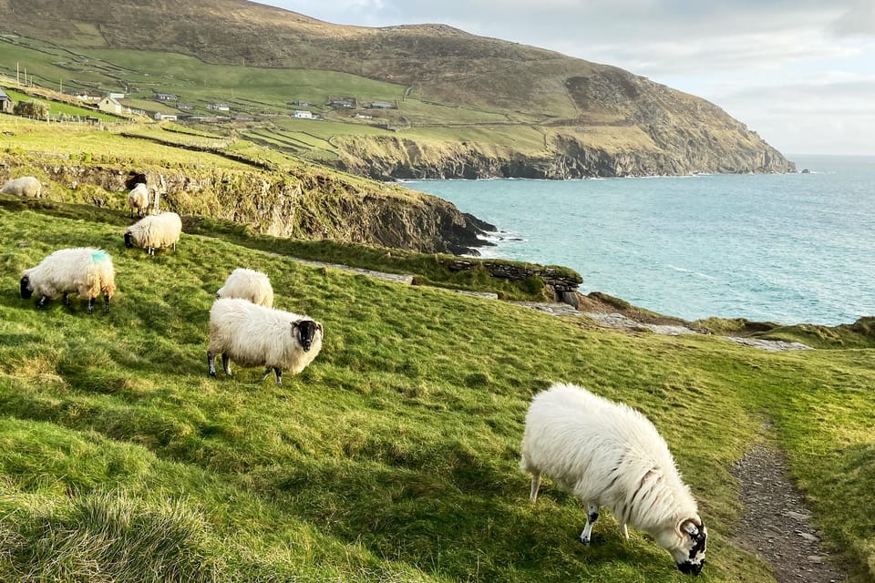 Dingle: Slea Head Photo And Sightseeing Tour | GetYourGuide