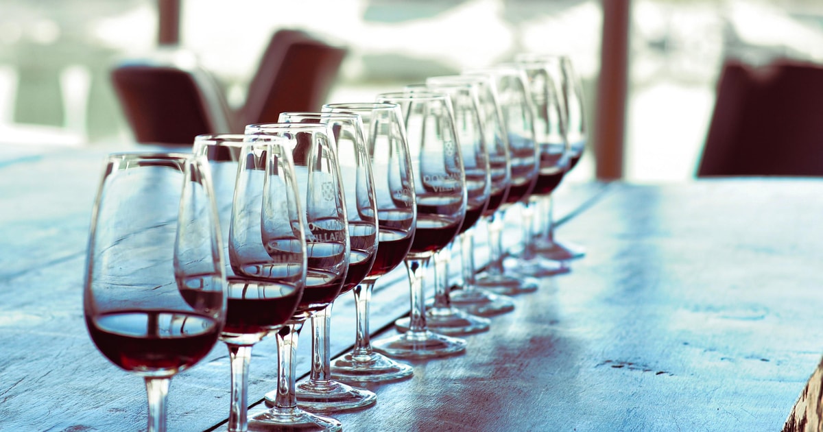 Wineries and Olive Trees Tour - Mendoza | GetYourGuide