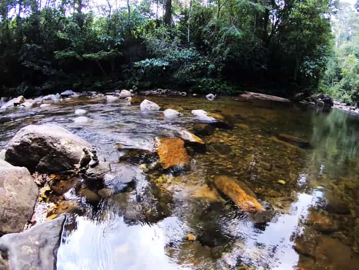 Sri lanka jungle trek/hike, Sinharaja 5 waterfalls hike | GetYourGuide