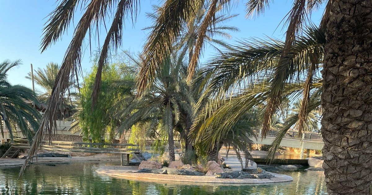 Djerba: Guided Half-Day or Full-Day Tour with Lunch | GetYourGuide
