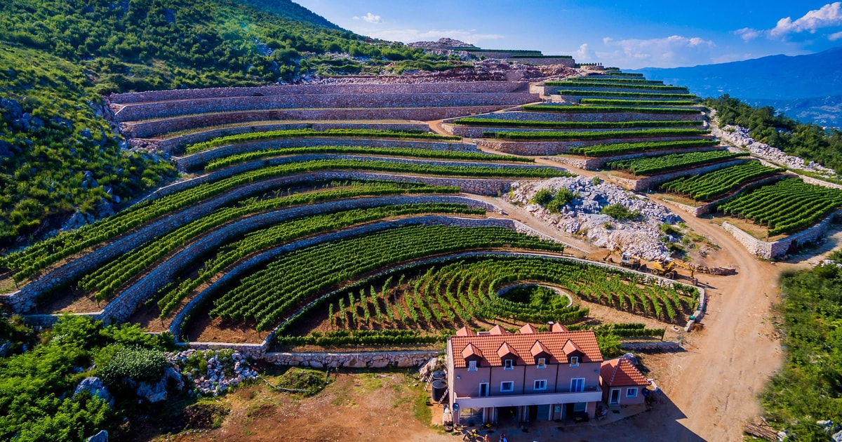 Winery Tour and Tasting at Winery Lipovac | GetYourGuide
