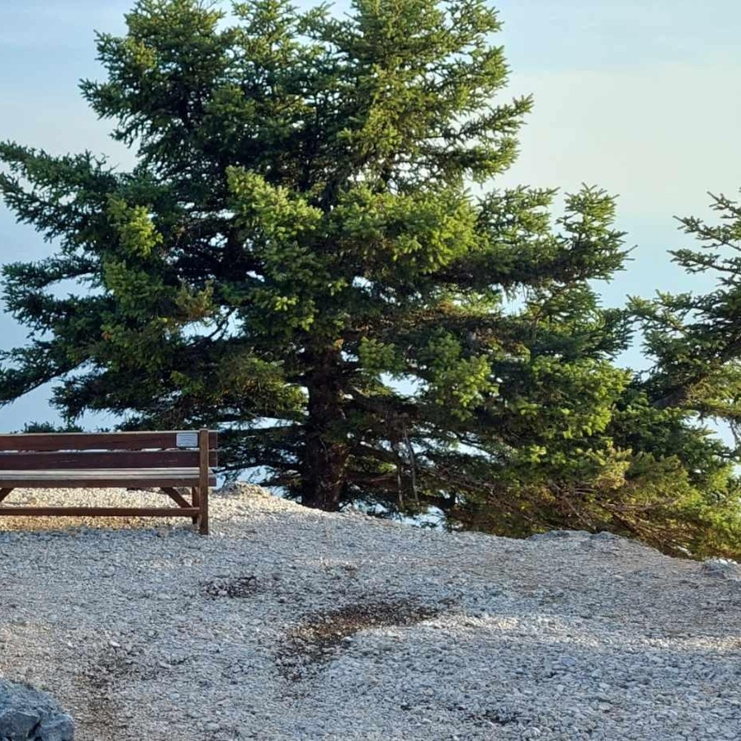 Kefalonia: Mount Aenos Off-Road Tour | GetYourGuide