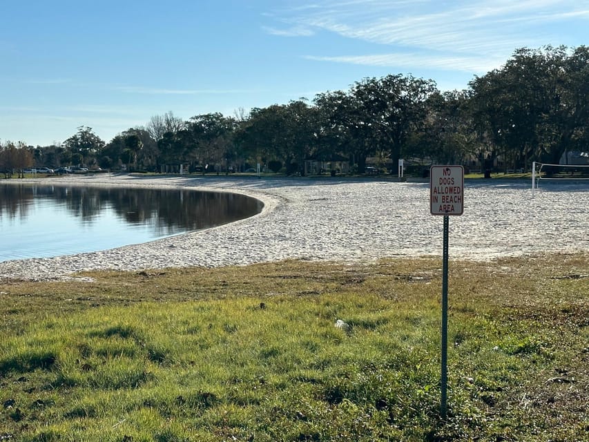 Kissimmee: 2-Hour All Electric Bicycle Lakefront Beach Tour | GetYourGuide