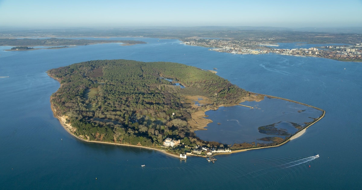 Poole: Rundfahrt durch den Hafen und die Inseln | GetYourGuide