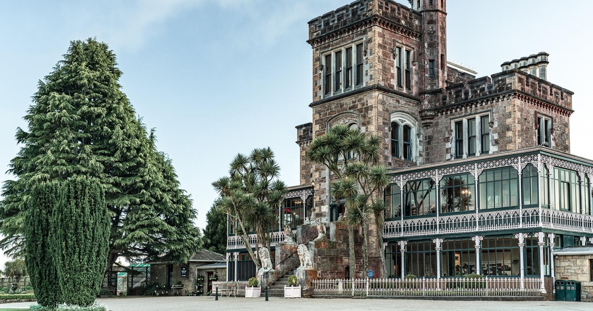 Dunedin City Highlight and Otago Peninsula Day Tour | GetYourGuide