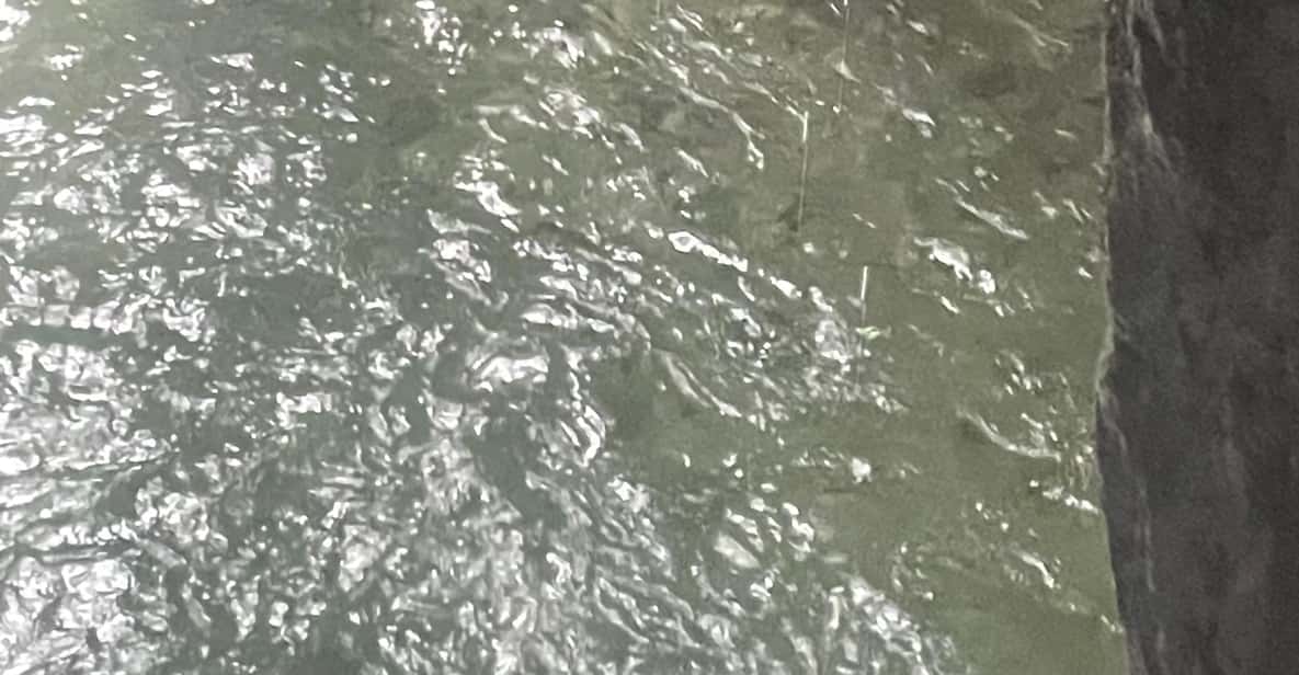 Family Canyoning: Gorg d’abiss | GetYourGuide