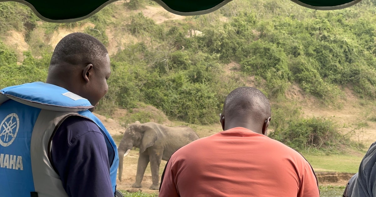 3-Day Uganda Rwanda Queen Elizabeth NP and Volcanoes NP Trip | GetYourGuide