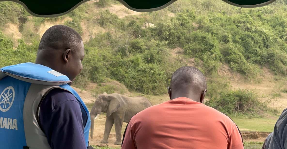 3-Day Uganda Rwanda Queen Elizabeth NP and Volcanoes NP Trip | GetYourGuide