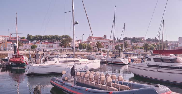Setúbal: Dolphin-Watching Boat Tour | GetYourGuide