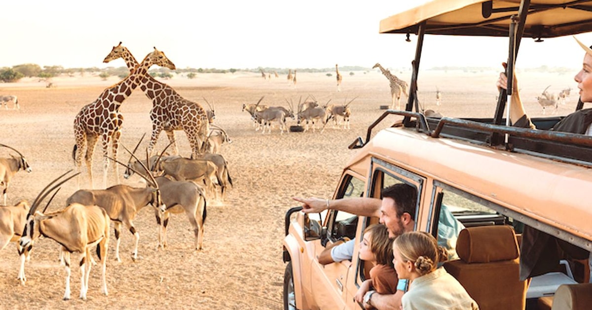 Excursión a la isla de Sir Bani Yas - Safari por la vida salvaje ...