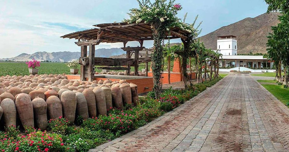 Pisco Route Tour | GetYourGuide