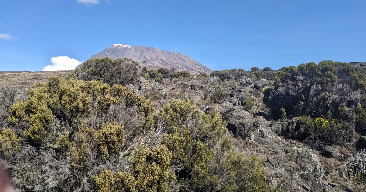 Kilimanjaro Climb: 1-Day Marangu Route Experience | GetYourGuide