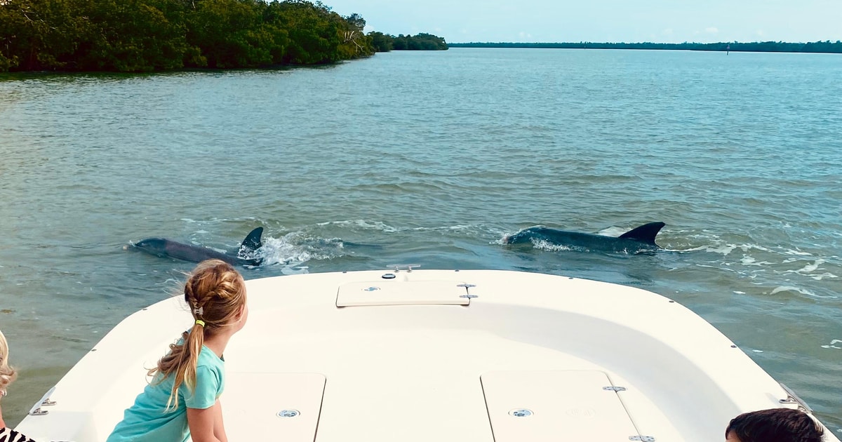 Private Shelling and Dolphin Excursion | GetYourGuide