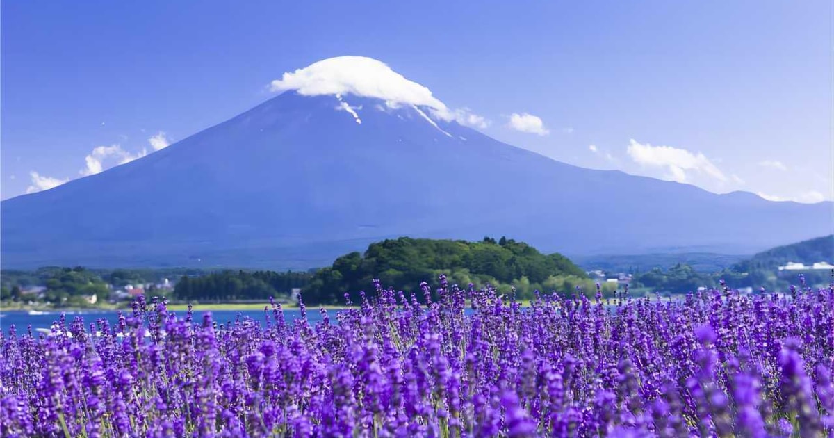 Vanuit Tokio: Fuji Berg Vier Beroemde Plekken Dagtour | GetYourGuide