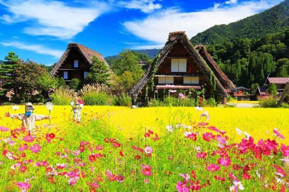 Nagoya: Shirakawago Light-up Festival and Takayama Day Tour | GetYourGuide