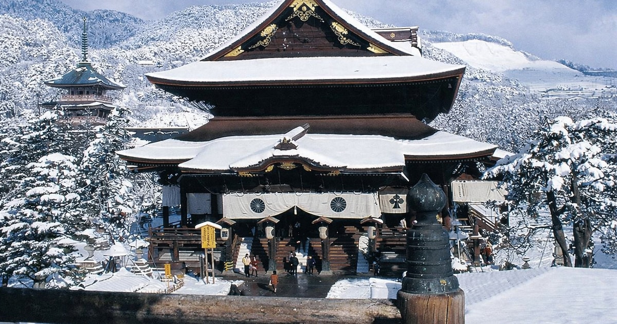 Nagano:Snow Monkeys & Zenko-ji Temple Scenic Whole Day Tour | GetYourGuide