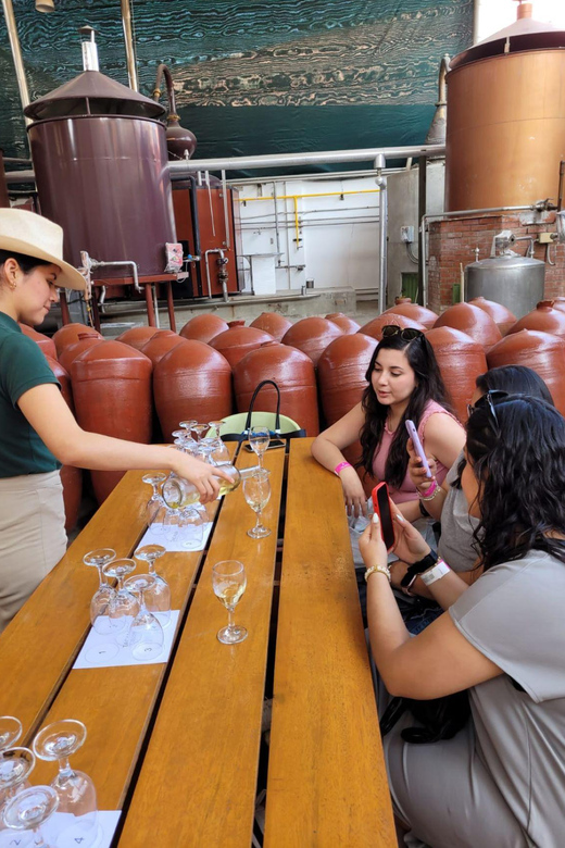 ICA: Pisco and Wine Route with tasting in 03 Wineries | GetYourGuide