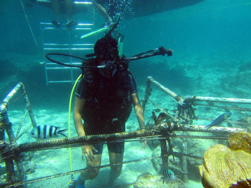 Bali: Scuba Diving For Beginner Experience | GetYourGuide