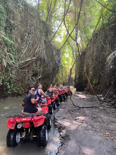 Ubud: ATV Quad Bike ride Adventure Guided Tour | GetYourGuide