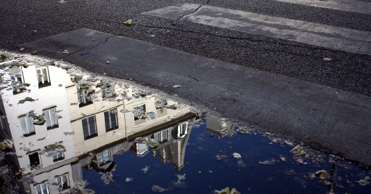 Urban photo - Puddle Art | GetYourGuide