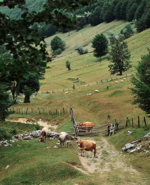 Day trip in Vermosh and the Albanian Alps | GetYourGuide