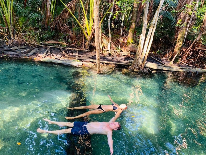 South Kayak Klong Root Kayaking | GetYourGuide