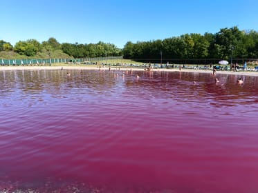 From Belgrade: Pink lake - Pacir Thermal spa | GetYourGuide